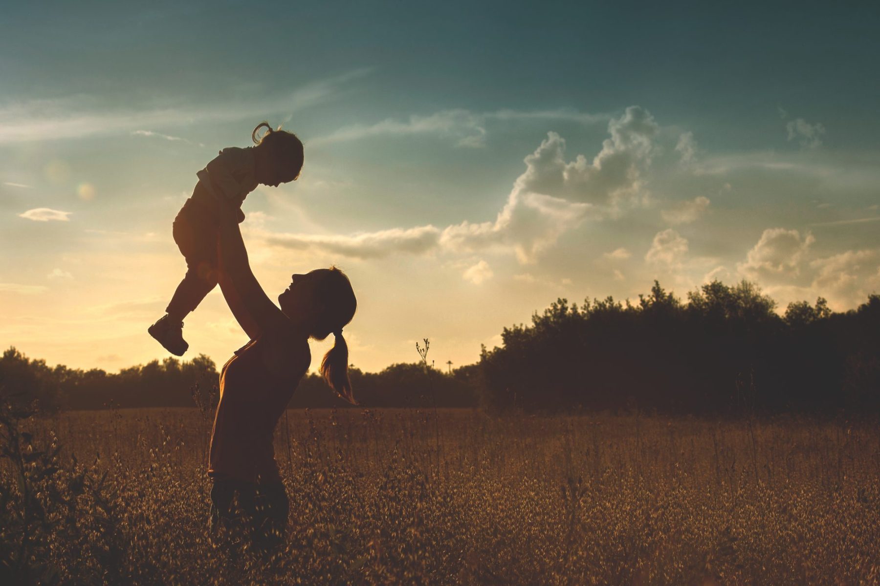 Virginia Family Law | Fairfax Family Law Attorney | Family Law ...
